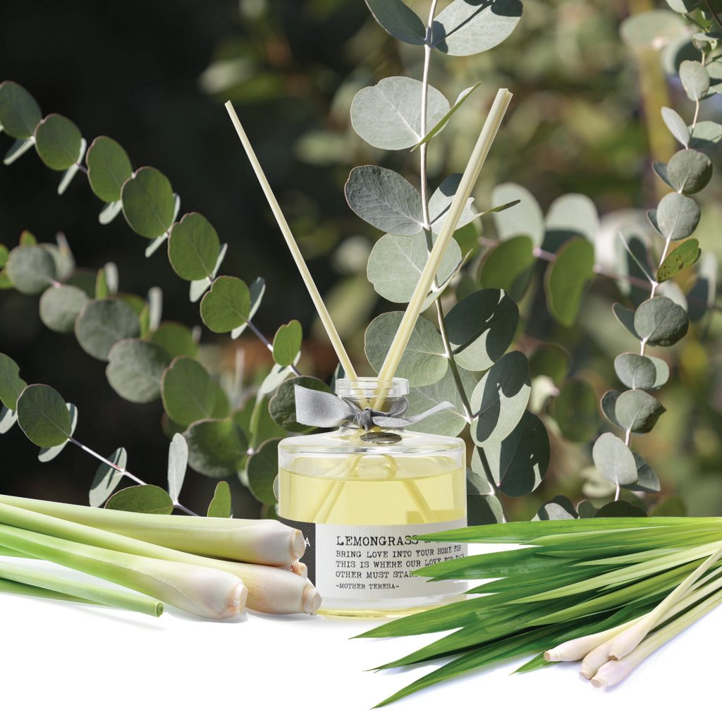 Aronica Modern Chic Diffuser-Lemongrass Eucalyptus - Aronica Diffuser