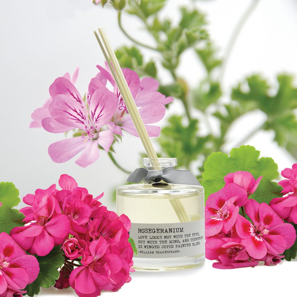 Aronica Modern Chic Diffuser - Rosegeranium - Aronica Diffuser