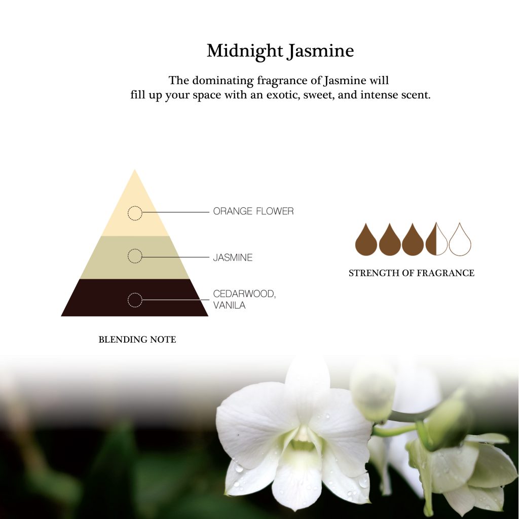 Aronica Mini Flower and Reed Diffuser - Midnight Jasmine - Aronica Diffuser