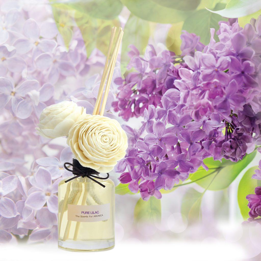 Aronica Twin Flower and Reed Diffuser (5.4oz/160ml) - Pure Lilac ...