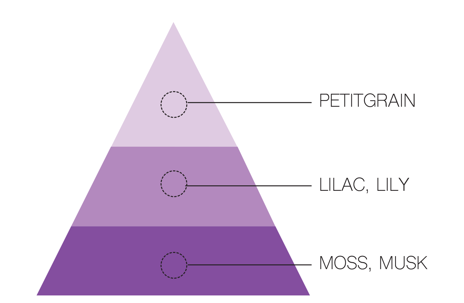 Aronica Twin Flower and Reed Diffuser (5.4oz/160ml) – Pure Lilac ...